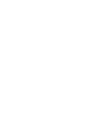 ABOUT - iES Security